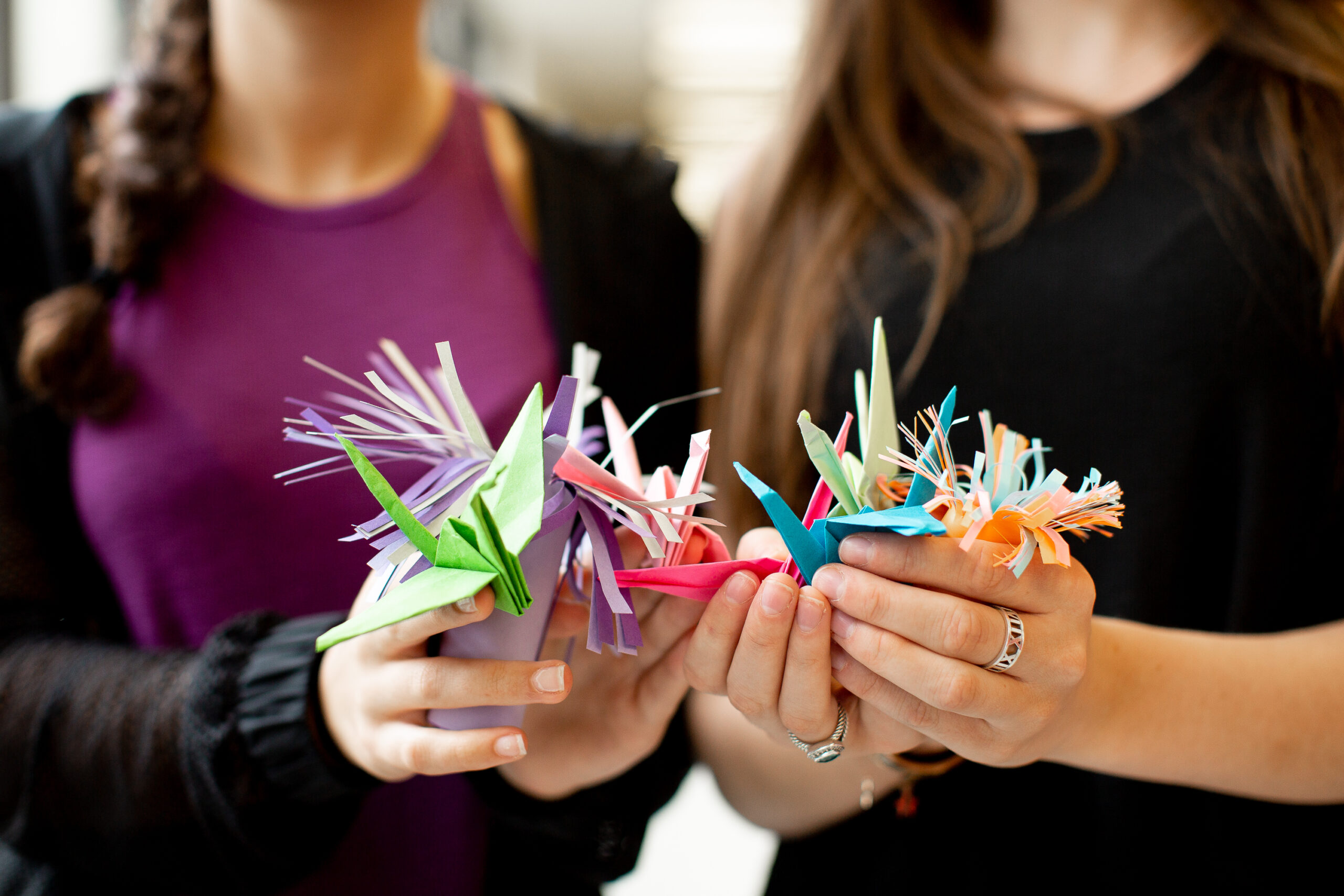 Spark Peace Project | Students Rebuild