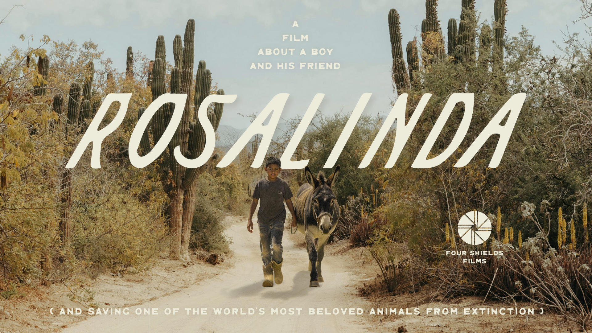 Rosalinda | Creative Visions
